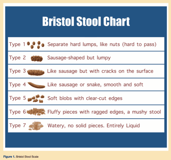 What Your Poop Says About Your Health and Digestive Wellness